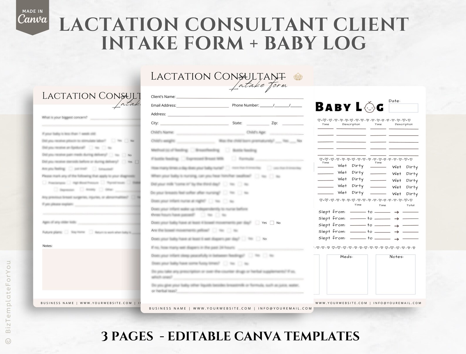 Editable Lactation Consultant Client Intake Form Template - Etsy