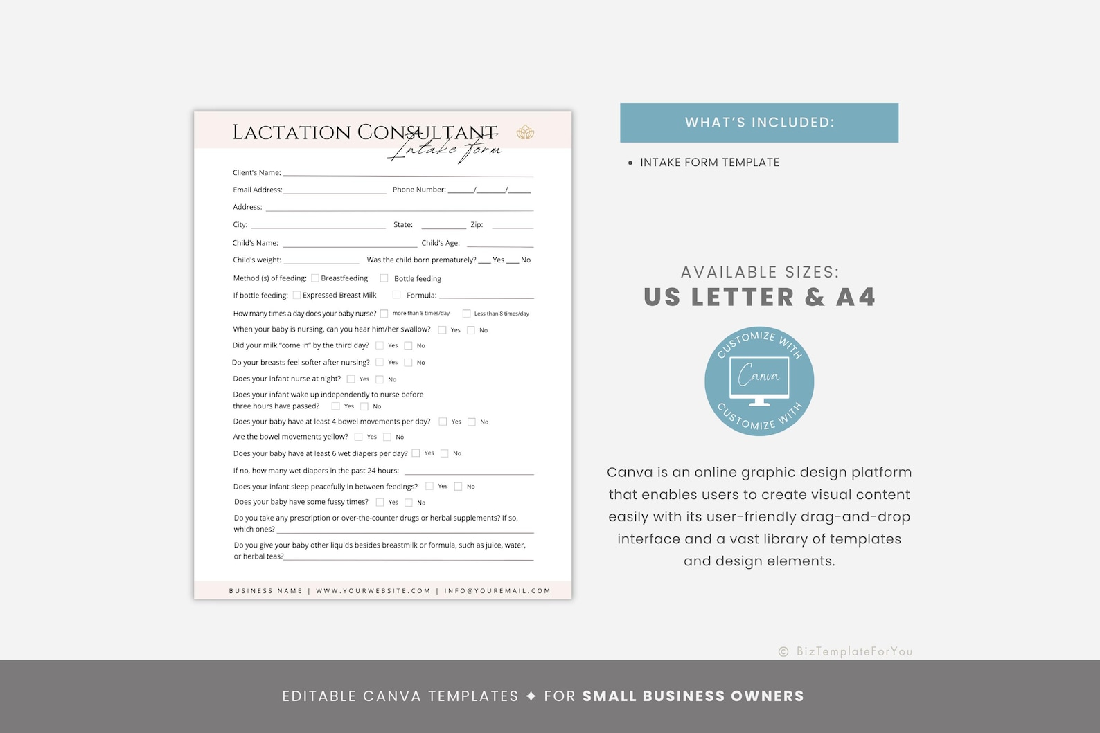 Editable Lactation Consultant Client Intake Form Template ...