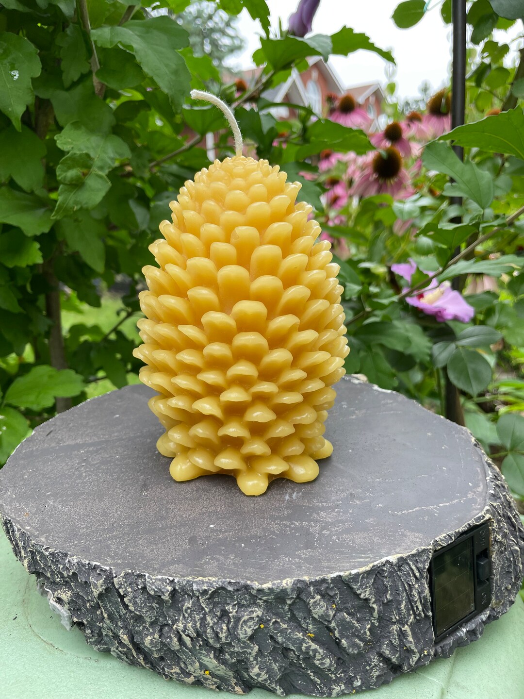 Large Beeswax Pine Cone Candle - Etsy