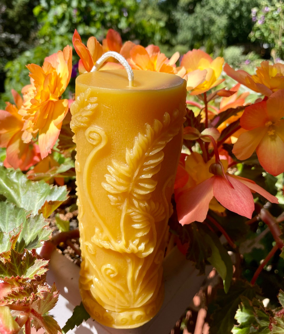 Rustic Fern Cylinder; Fern Leaf Pillar Beeswax Candle; Pure Beeswax ...