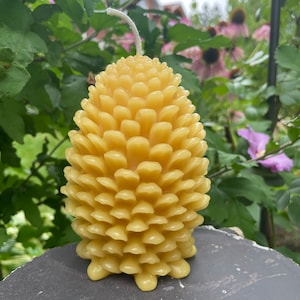 Large Beeswax Pine Cone Candle - Etsy