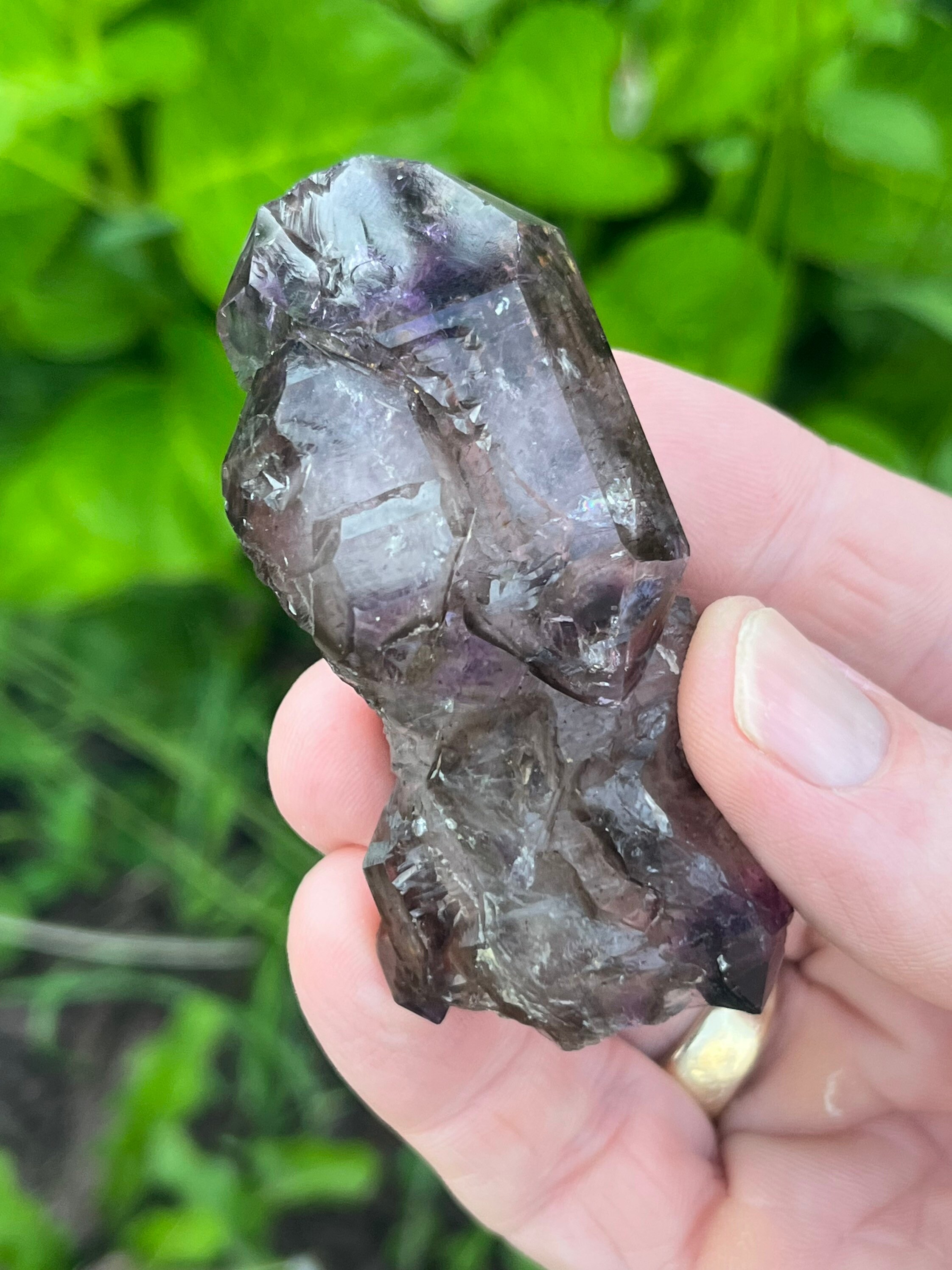 Amethyst/smokey Scepter Quartz With Elestial Growth From - Etsy