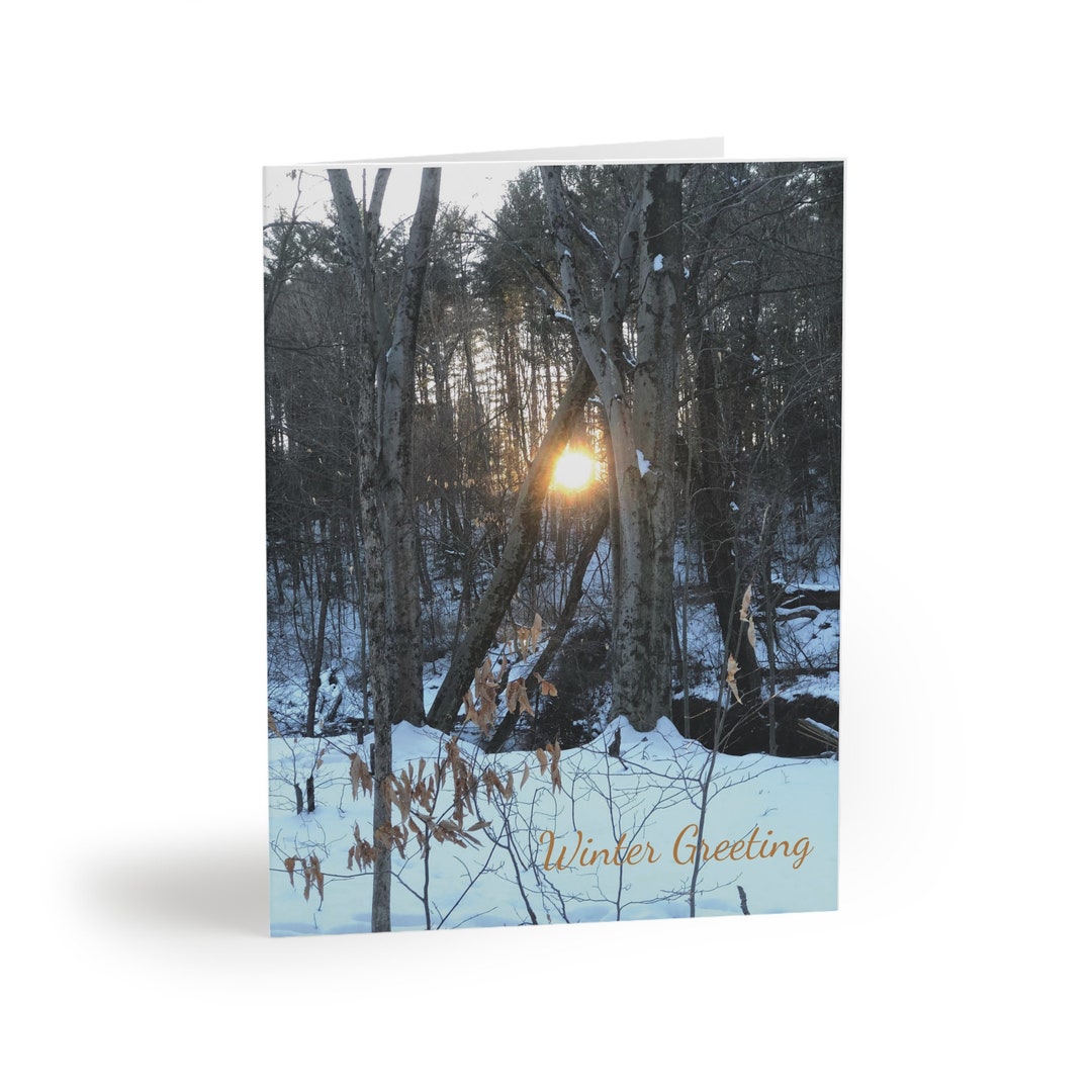 Winter Blessing Seasonal Greeting Cards Package of 8 4x5 Cards ...
