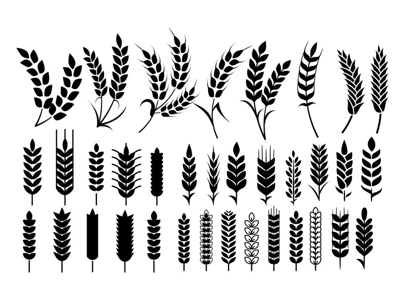 150 Wheat SVG Clipart Bundle, Farm Svg Clipart, Farm Vector, Wheat ...