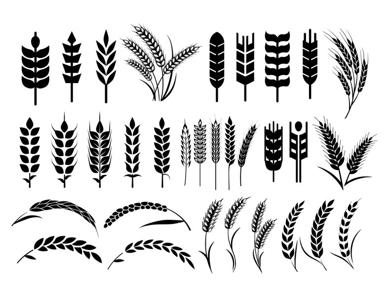150 Wheat SVG Clipart Bundle, Farm Svg Clipart, Farm Vector, Wheat ...