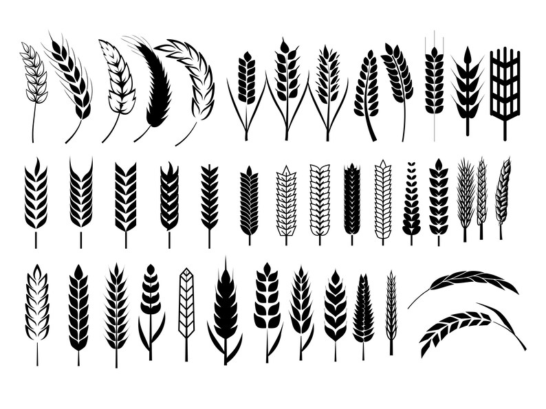150 Wheat SVG Clipart Bundle, Farm Svg Clipart, Farm Vector, Wheat ...