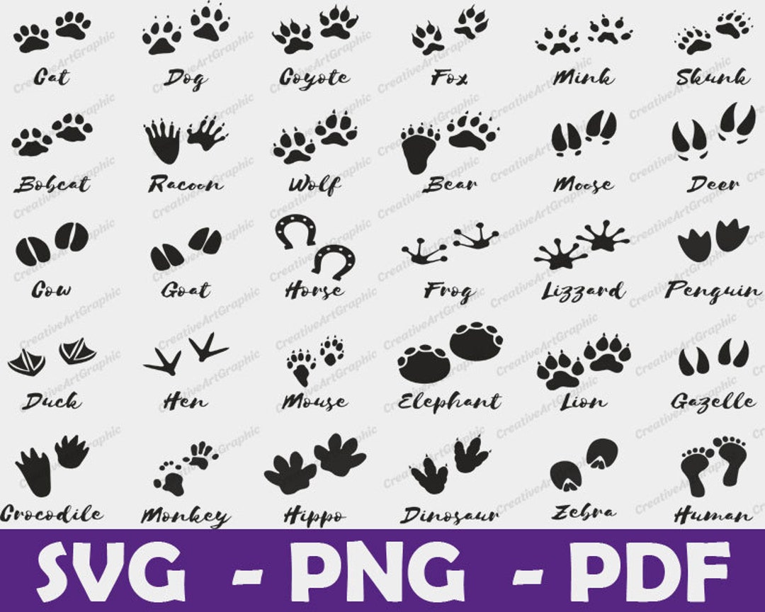 Animal Tracks Svg, Animal Paw Svg Files, Vintage Animal Tracks Hunting ...