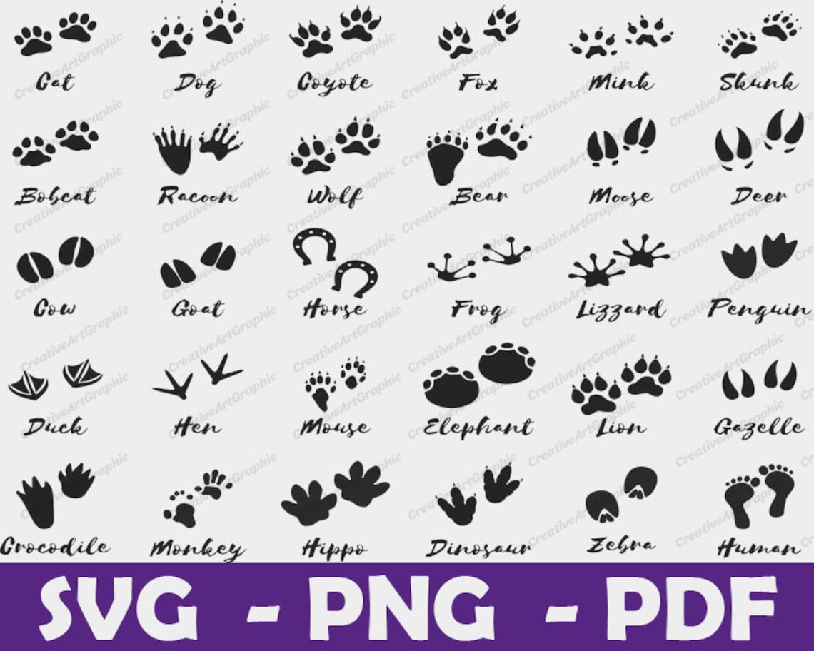 Animal Tracks Svg, Animal Paw Svg Files, Vintage Animal Tracks Hunting ...