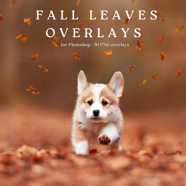 Leaf Overlay - Etsy