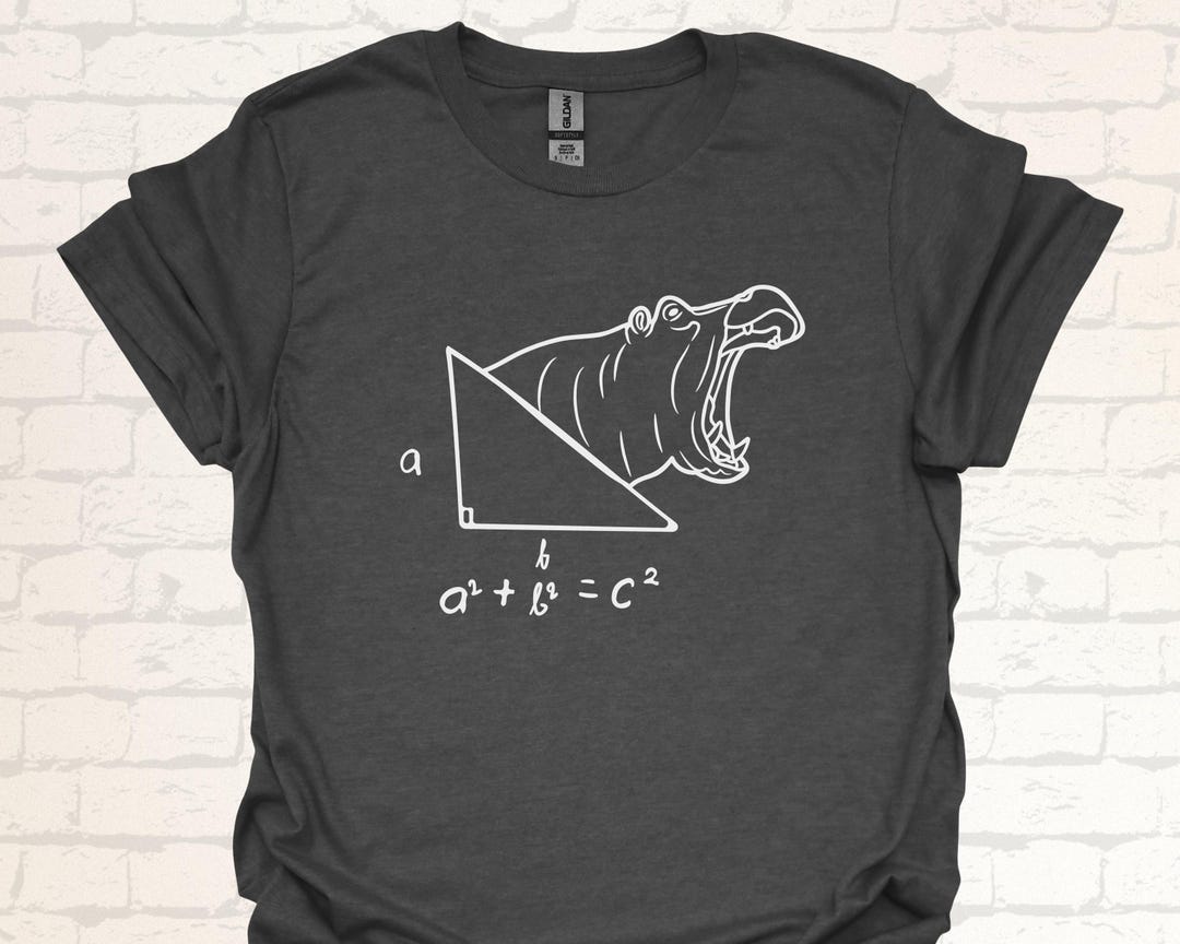 Funny Math T-shirt Pythagorean Theorem Humor Shirt for Math Nerds ...