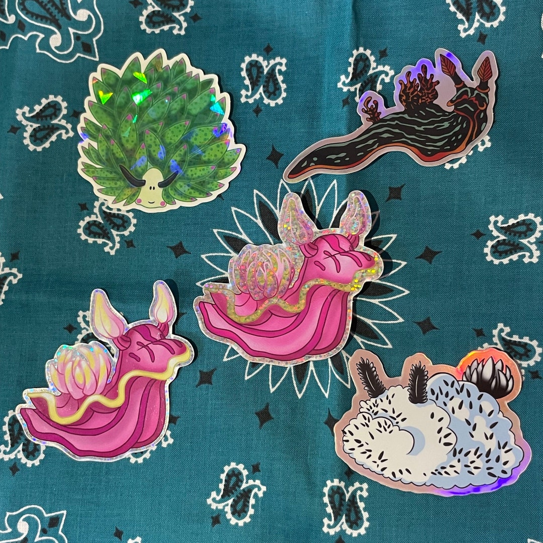 Sea Slug Sticker BUNDLE - Etsy