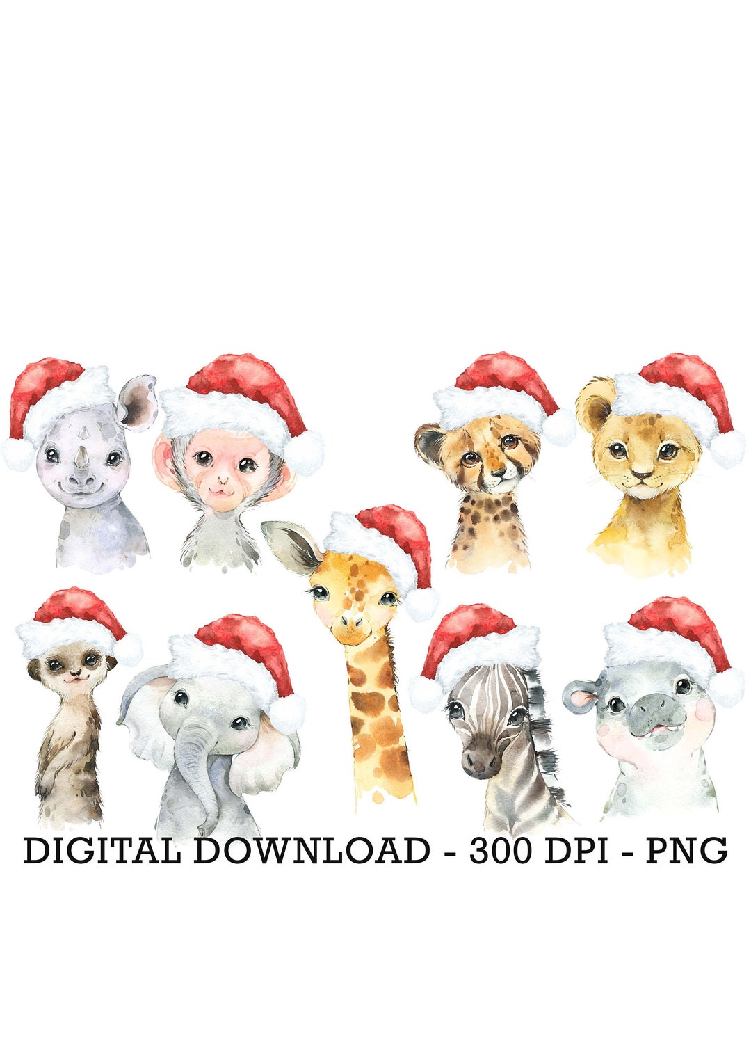 PNG Set of 9 Christmas Winter Safari Animals in Santa Hats, Baby Winter ...