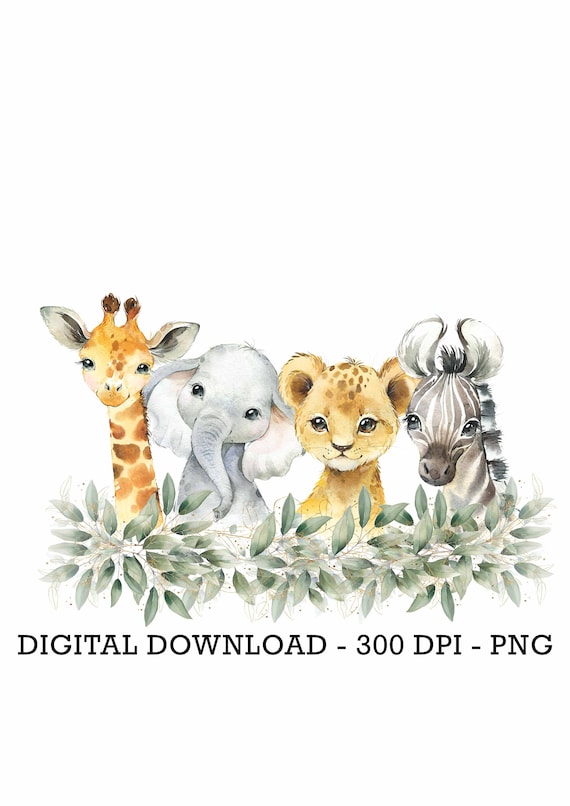 Jungle Baby Shower Clip Art Jungle Clip Art , Animals Clip Art,