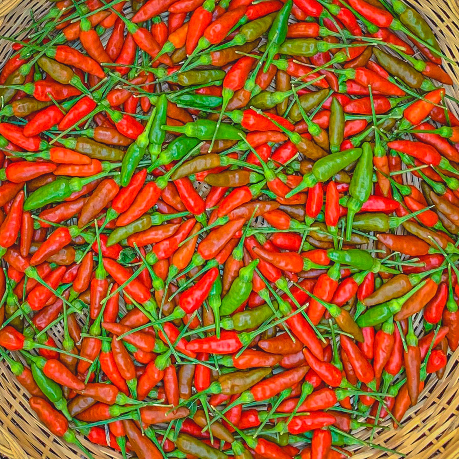 Sili Labuyo Hot Peppers - Etsy Canada