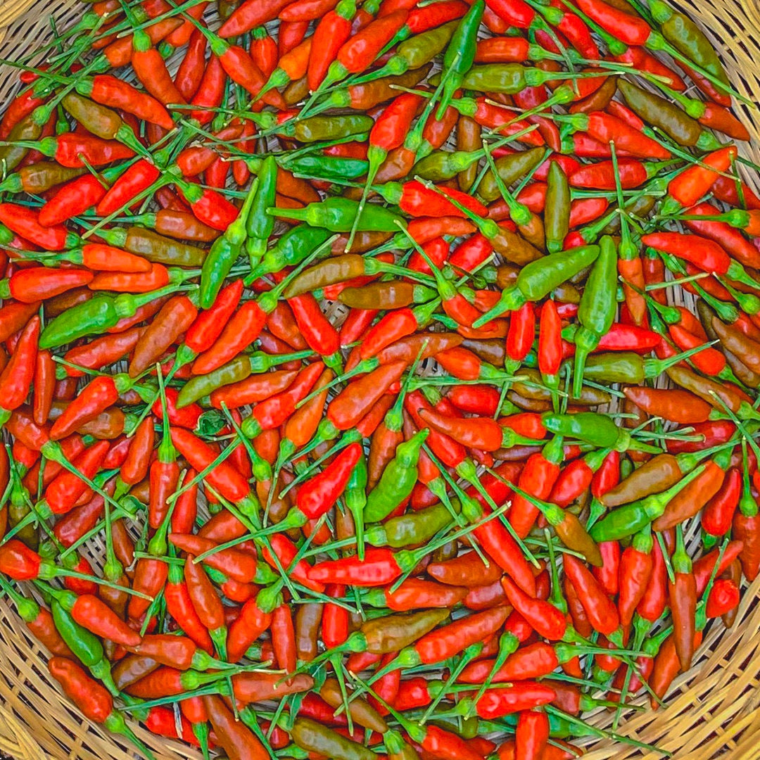 Sili Labuyo Hot Peppers - Etsy Canada