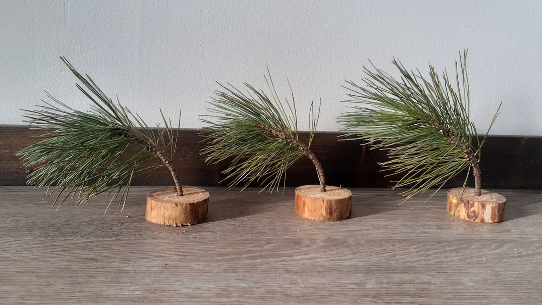 Mini Charlie Brown Christmas Trees - Pine - Etsy