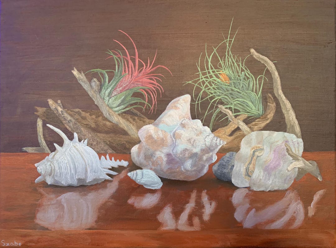 Original Oil Painting on Canvas nassarius 12 X 16 Realism Landscape Art ...