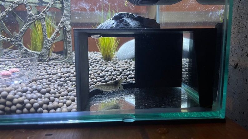 3D Printed Axolotl/aquarium Hide - Etsy Canada
