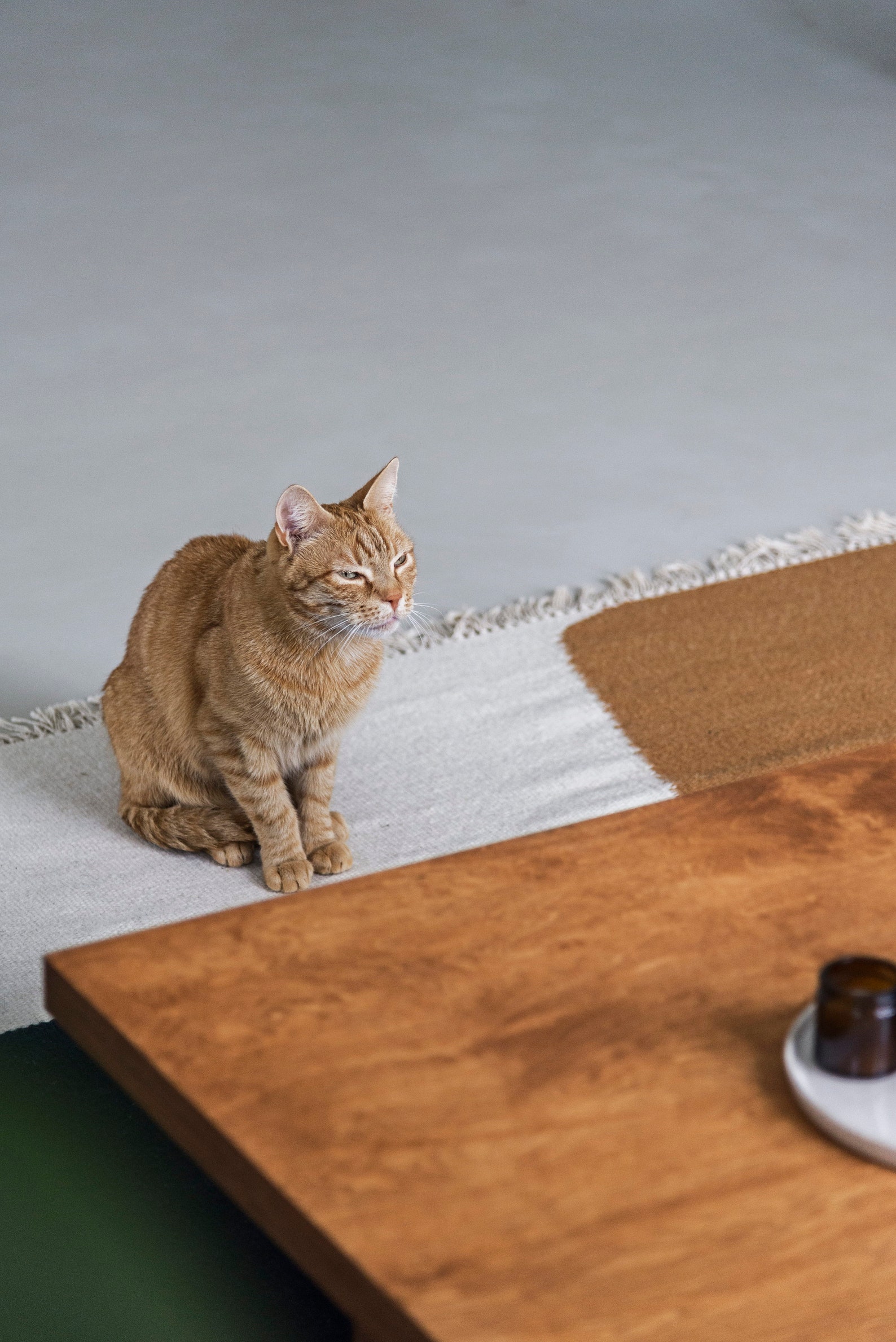 OTOTO.04 Square Coffee Table Plywood Coffee Table Low Coffee | Etsy