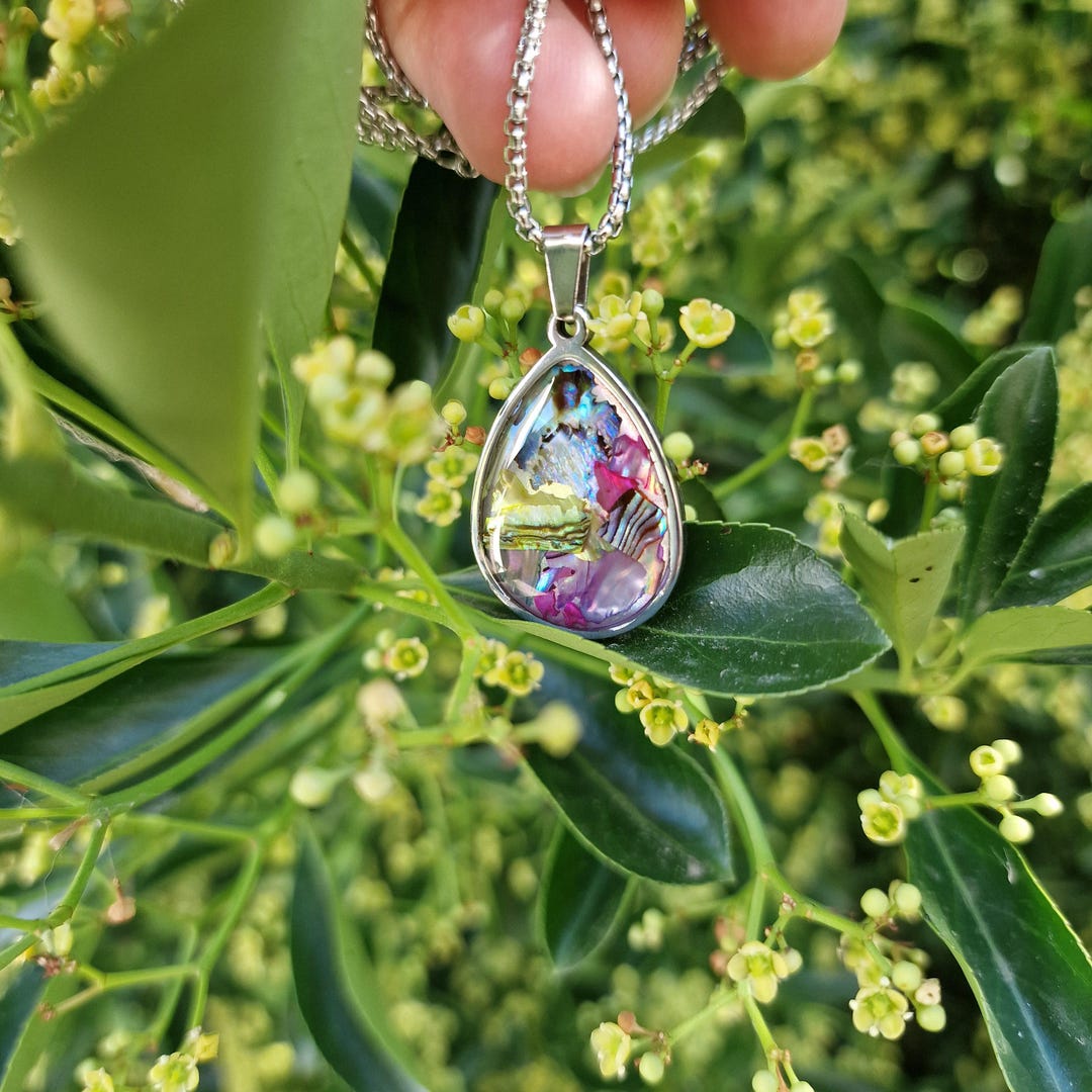 New Zealand Abalone Shell Medal With Thread - Etsy Canada