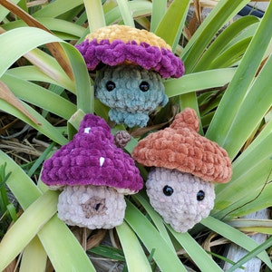 Crochet Acorn Pop Plush Fidget Toy ADHD Plushie Sensory - Etsy