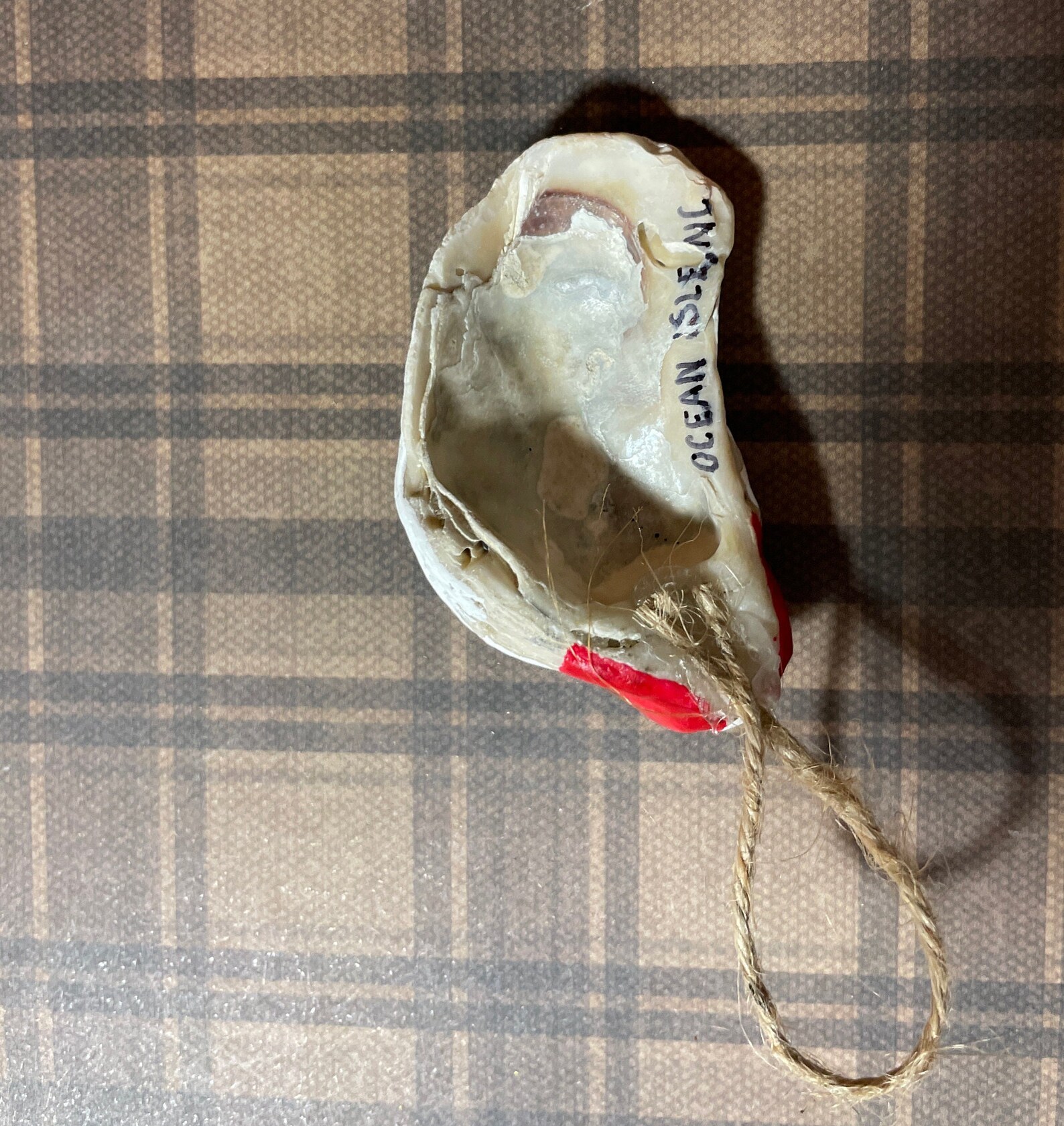 Oyster Shell Santa Ornament - Etsy