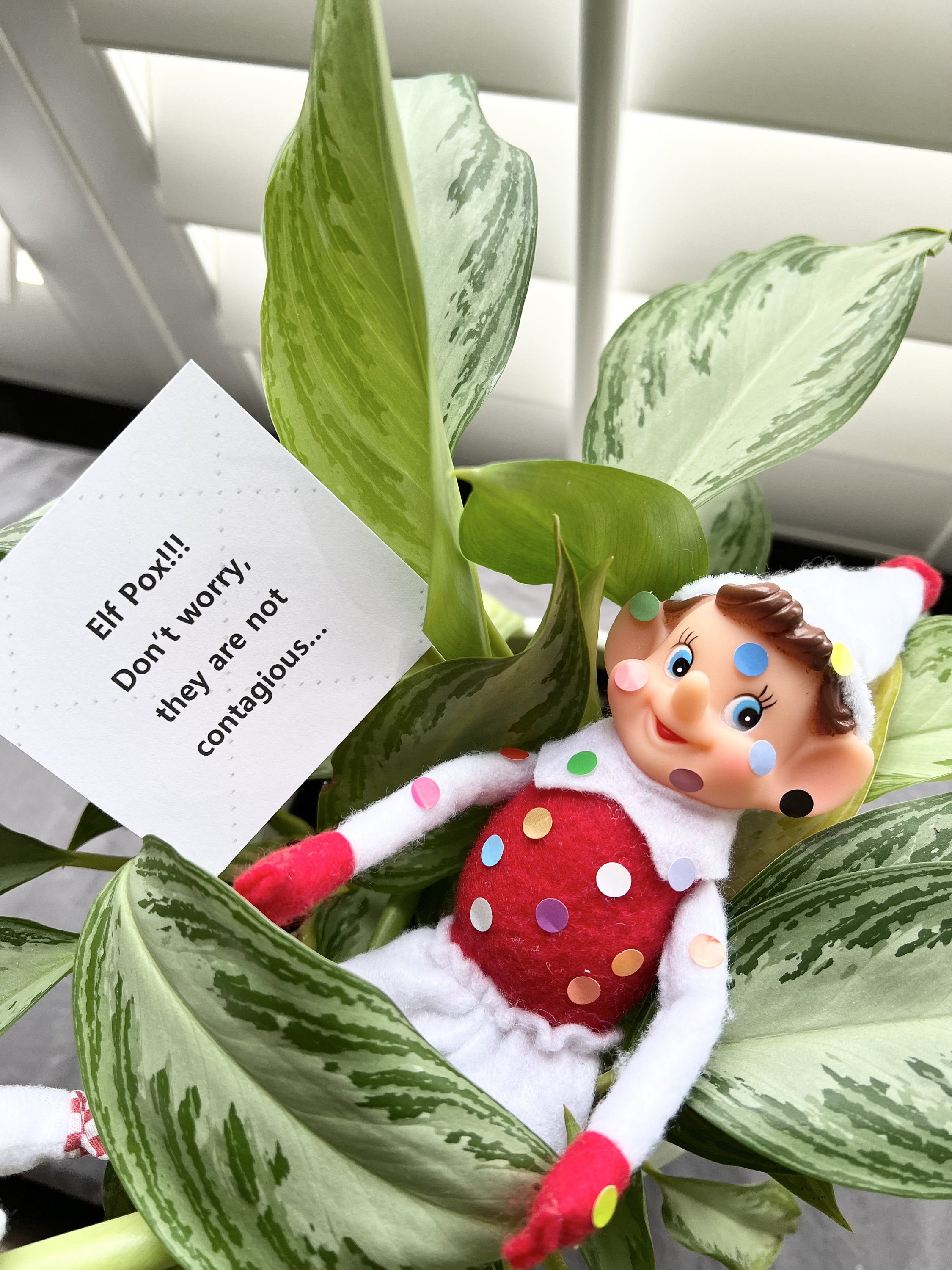 Elf Pox Prop, Sick Elf Dot Stickers and Sign - Etsy