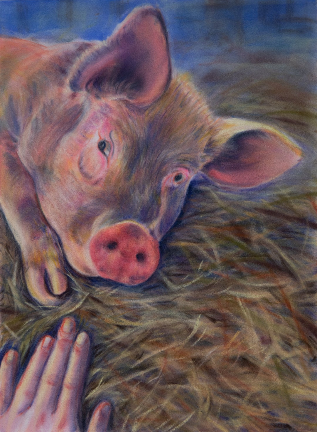 Luci the Pig, Original Picture, Painting 24 Cm X 32 Cm, Unique, Pastel ...