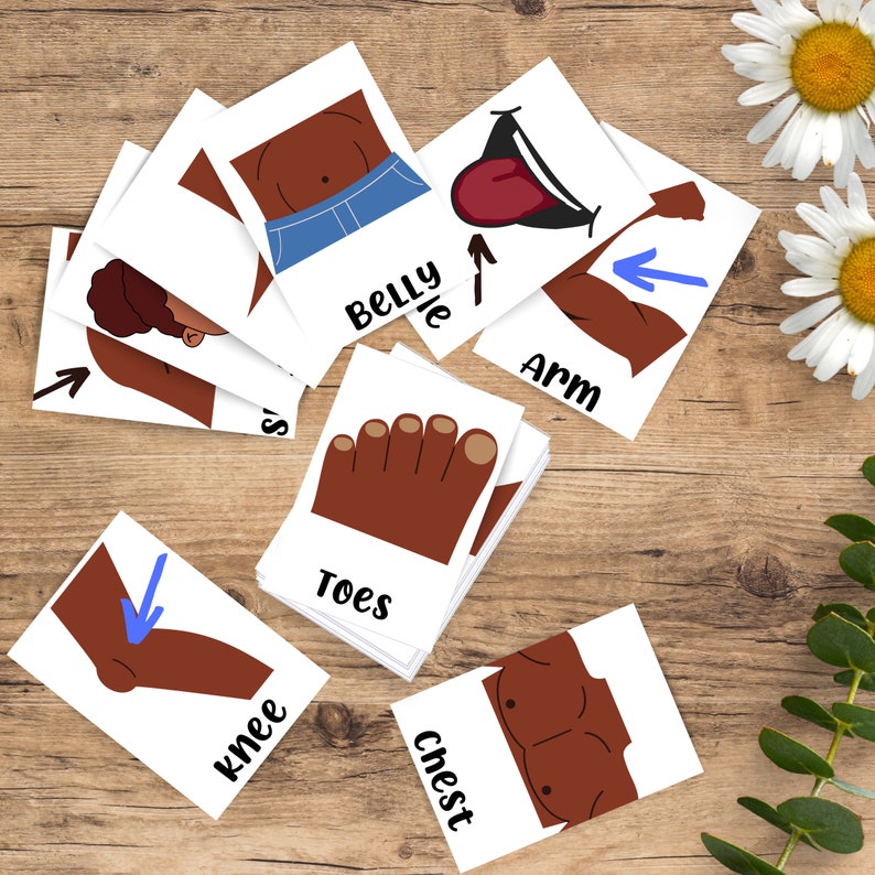 32 Printable Body Parts and Organs Flash Cards for Toddlers and ...