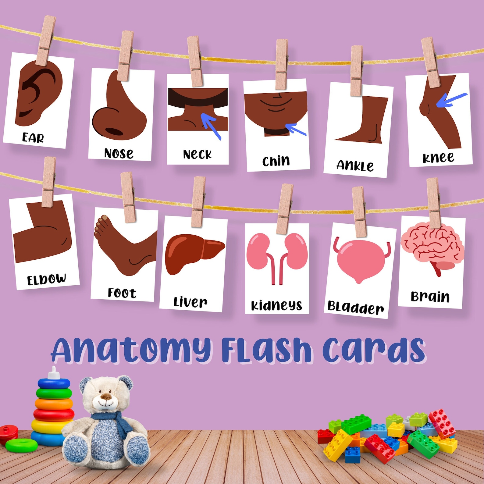 32 Printable Body Parts and Organs Flash Cards for Toddlers and ...