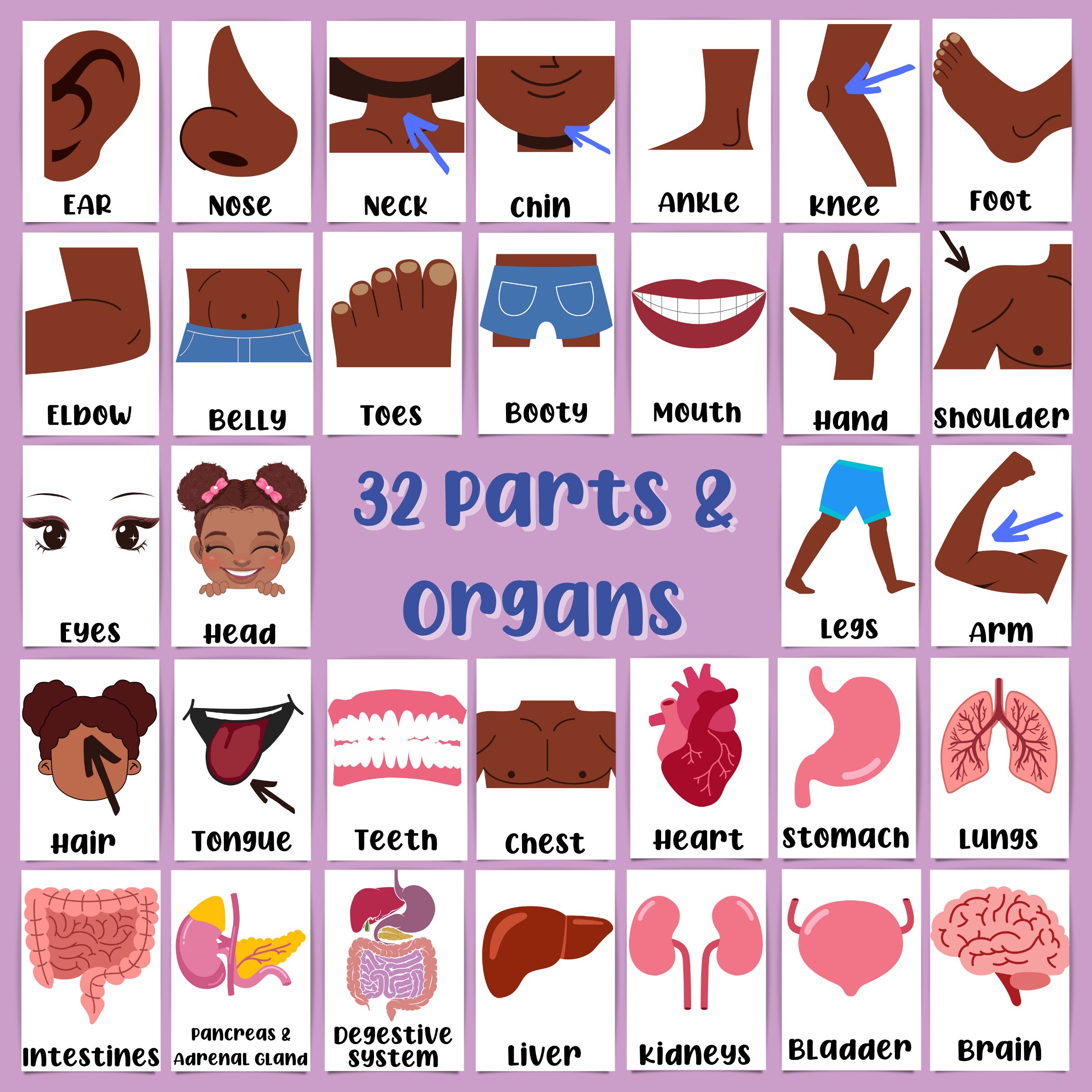 Body Parts Flash Cards for Toddlers, Montessori Learning (printable PDF ...