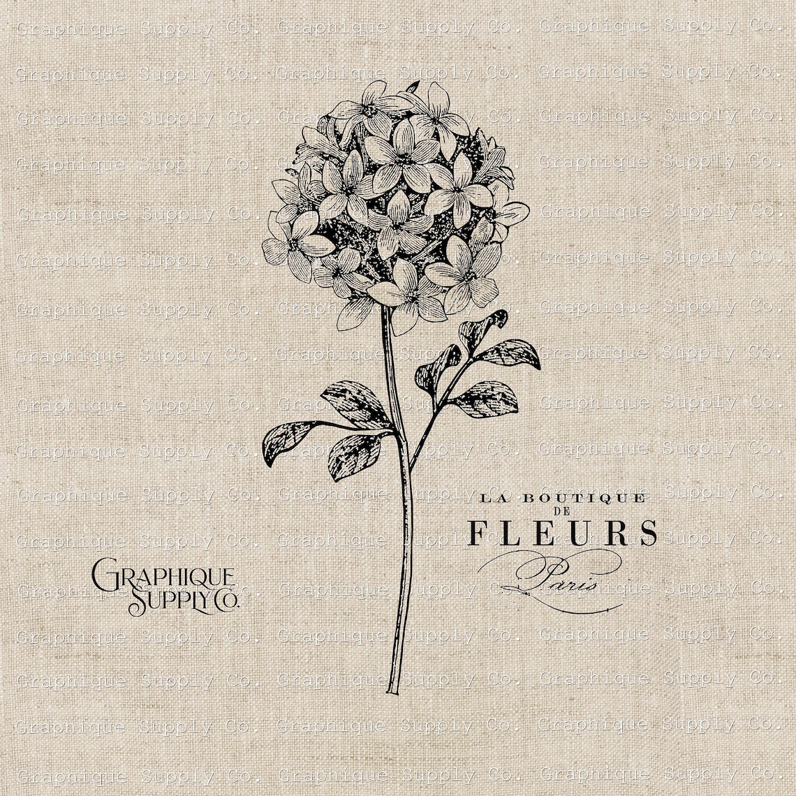 Vintage Flower French Illustration Instant Download Digital - Etsy