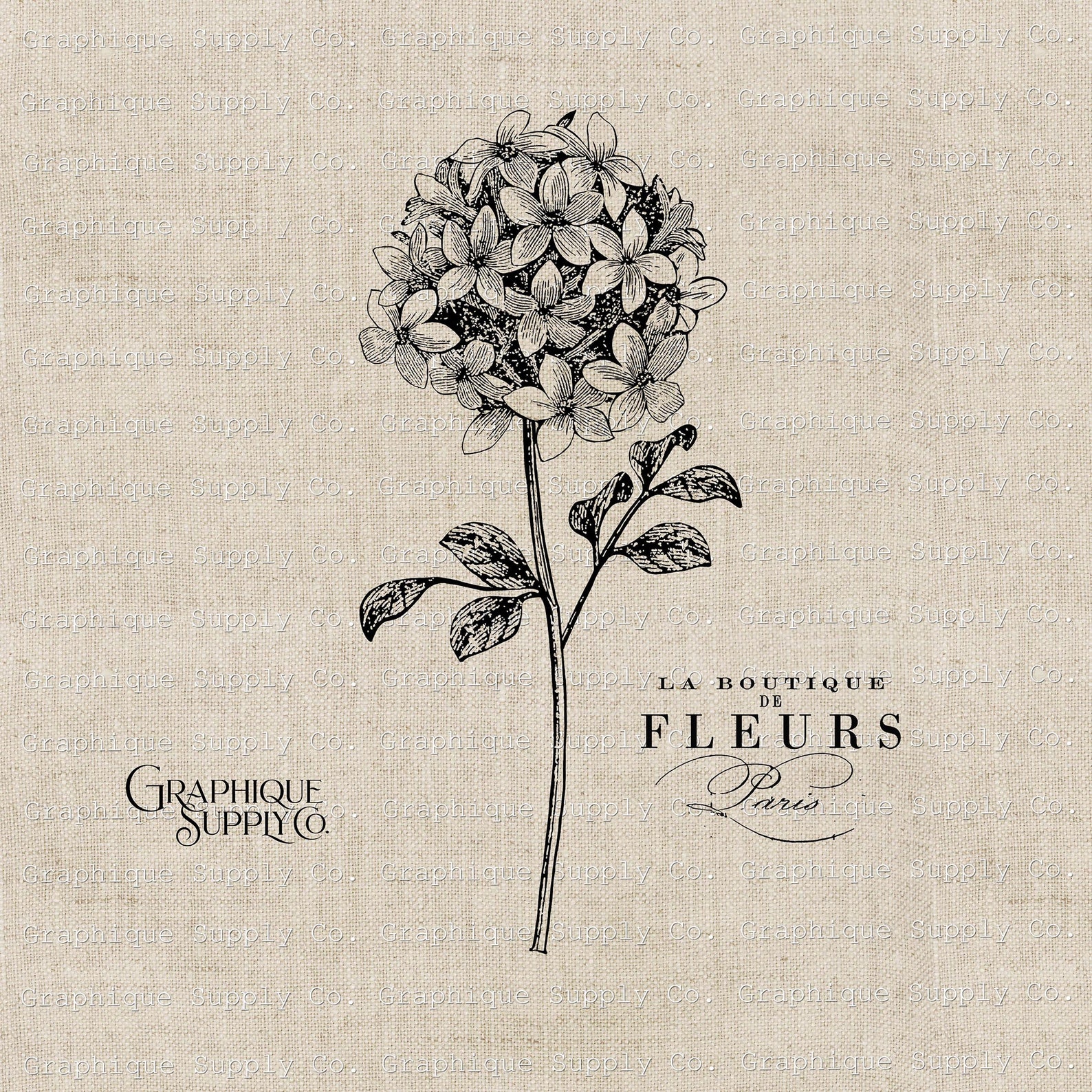 Vintage Flower French Illustration Instant Download Digital - Etsy