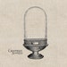 Cloche Jar Vintage Illustration Vivarium Digital Download - Etsy