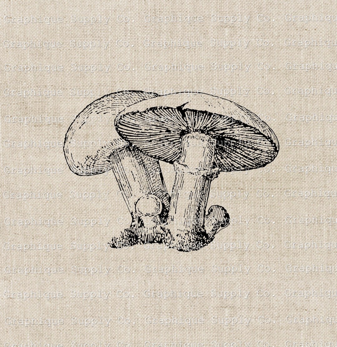 Mushroom Clipart Digital Toadstool Png-botanical Ephemera Wild Life ...