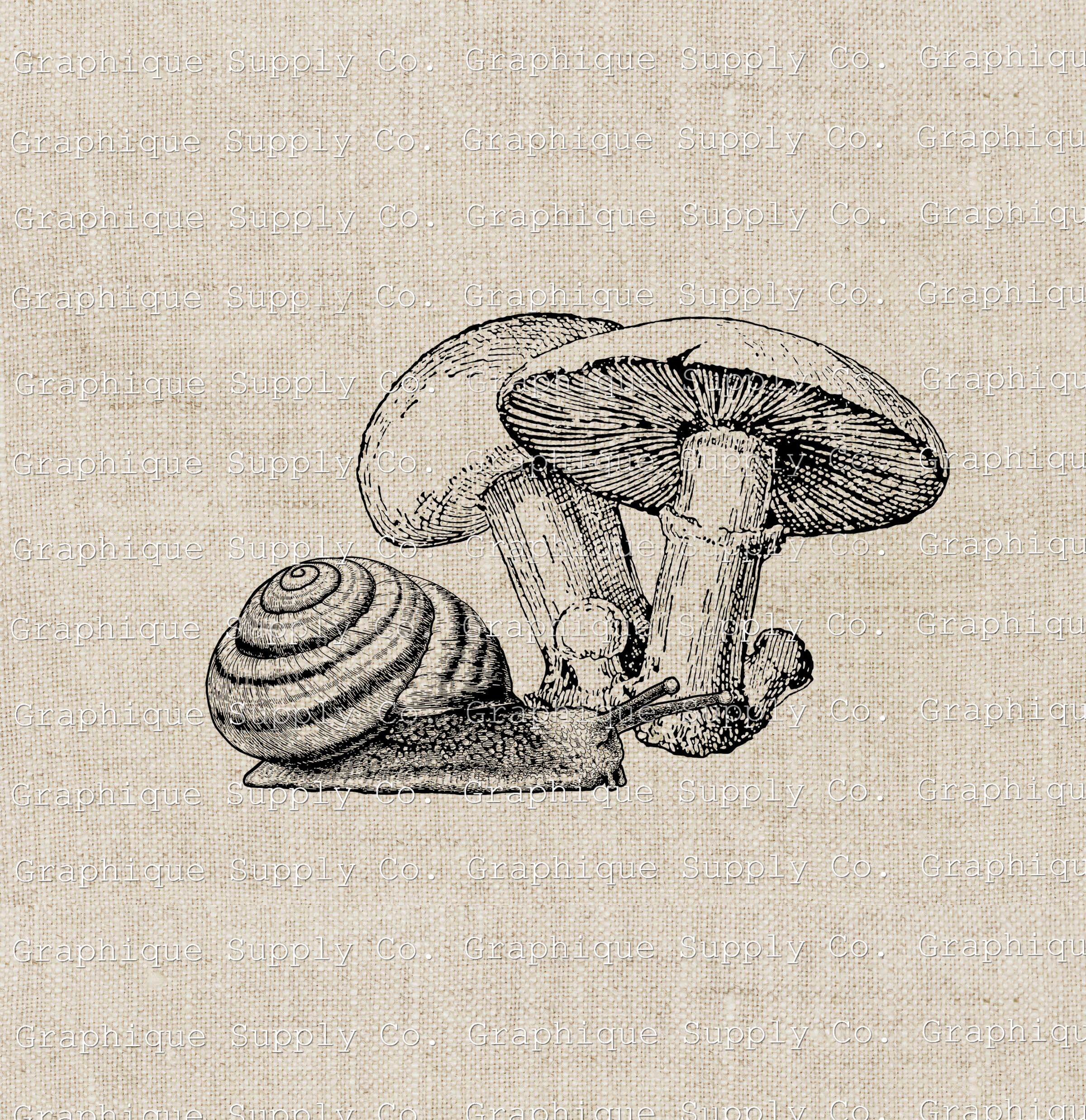 Snail and Mushroom Clipart Fairy Grunge Digital Goblincore-furniture ...