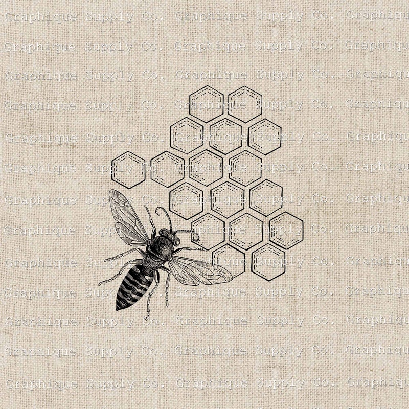 Bee Transfers - Etsy