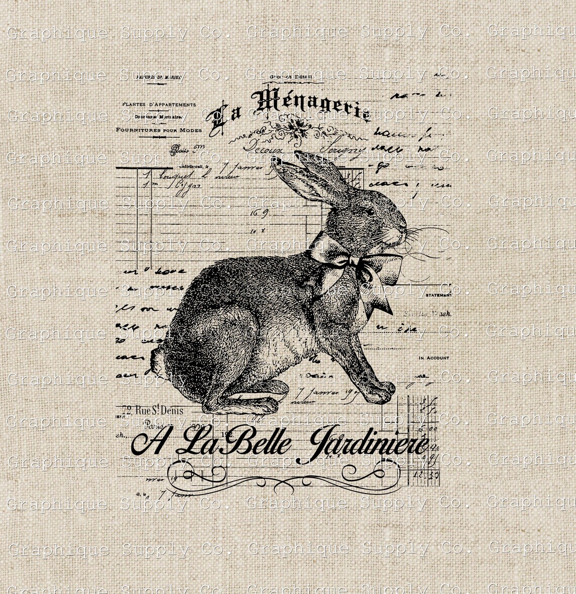 French Rabbit Clipart Bunny Clip Art Vintage Illustration - Etsy