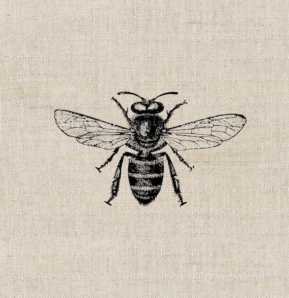 Vintage Bee Clip Art