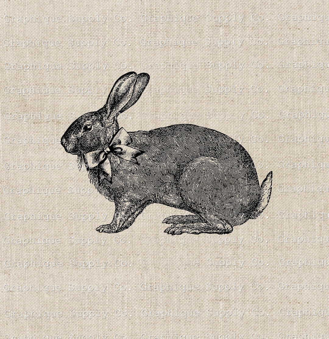 Rabbit Clip Art Easter Bunny Vintage Download Digital- Printable PNG ...