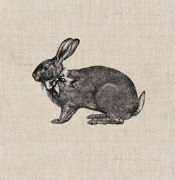 Vintage Rabbit Clip Art