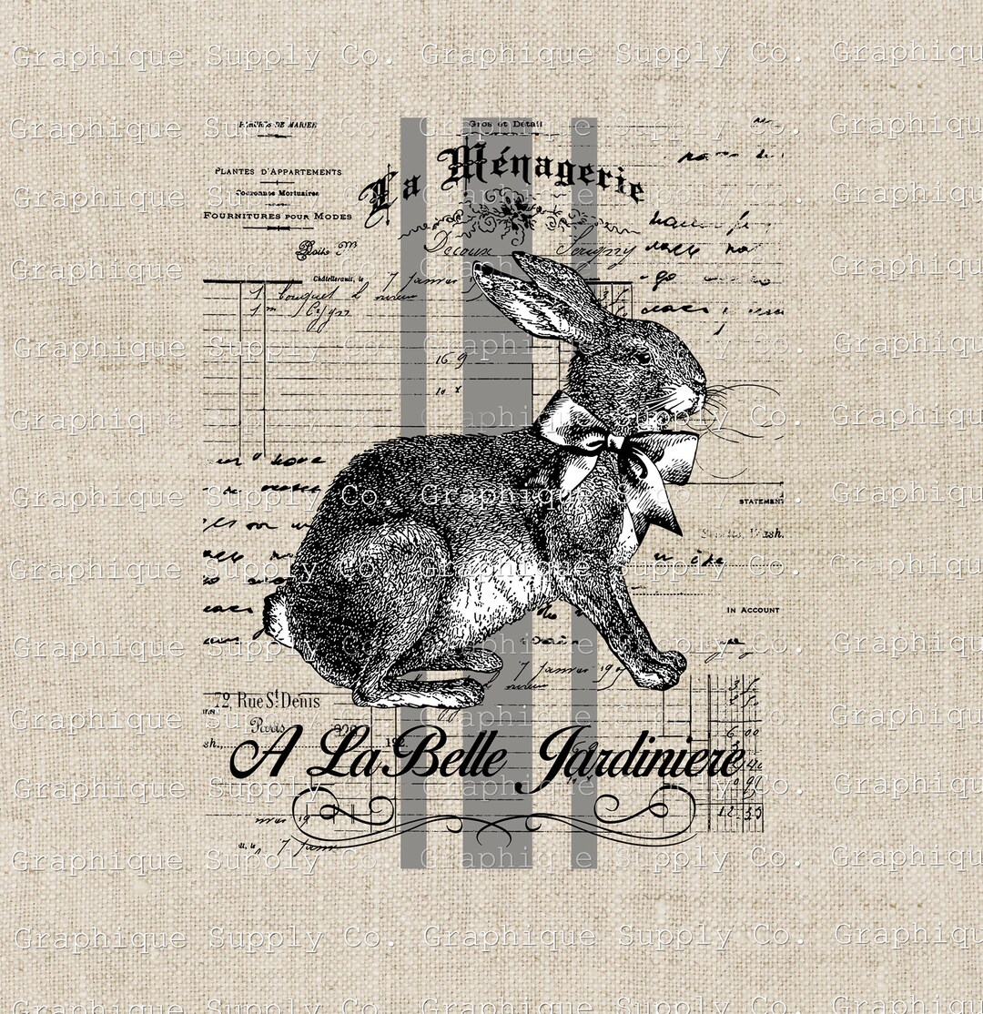 French Rabbit Clipart - Bunny Clip Art Vintage Illustration- Printable ...