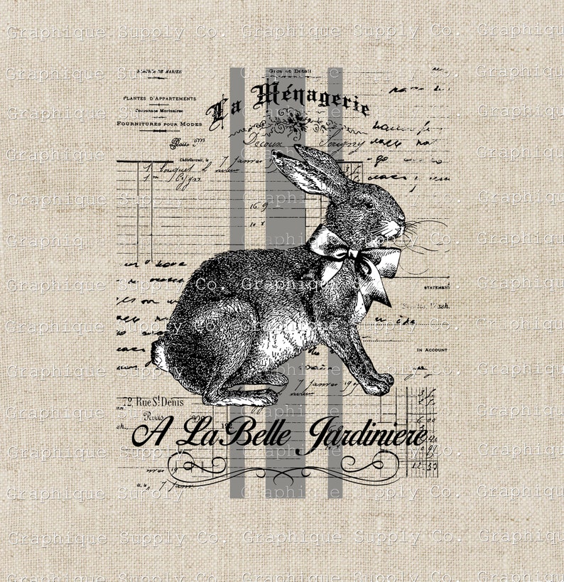 French Rabbit Clipart - Bunny Clip Art Vintage Illustration- Printable ...