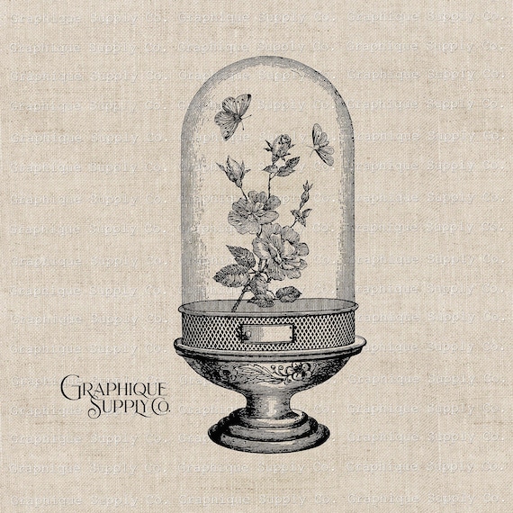 Flower Vivarium Cloche Jar Vintage Illustration Digital - Etsy
