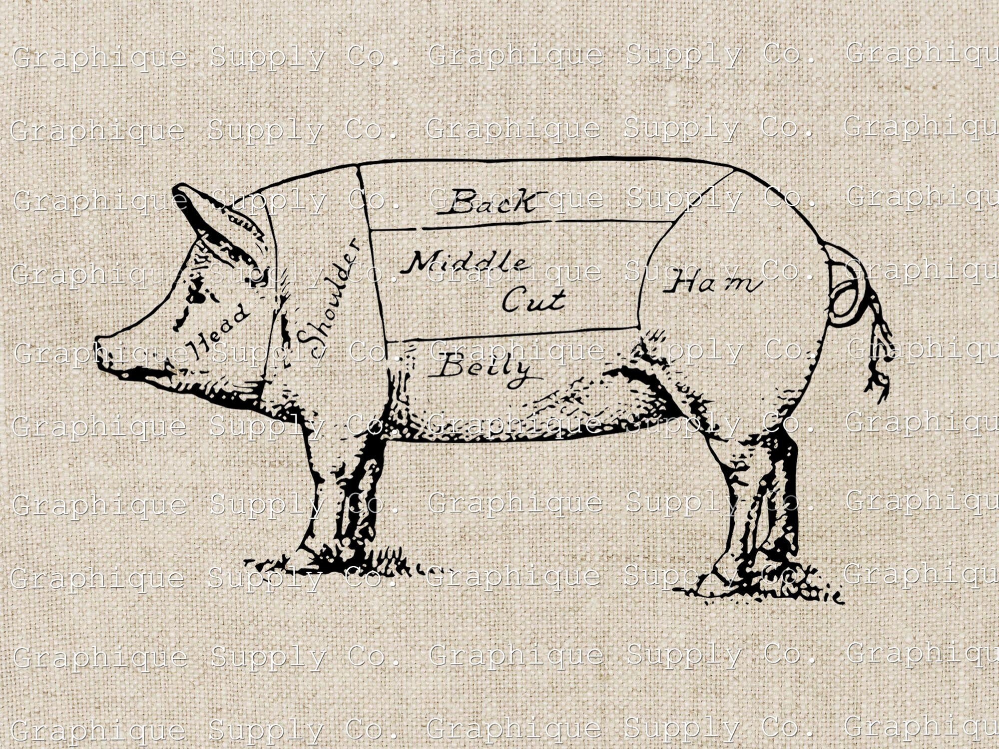 Vintage Pig Illustration Instant Download Digital Printable Vintage ...