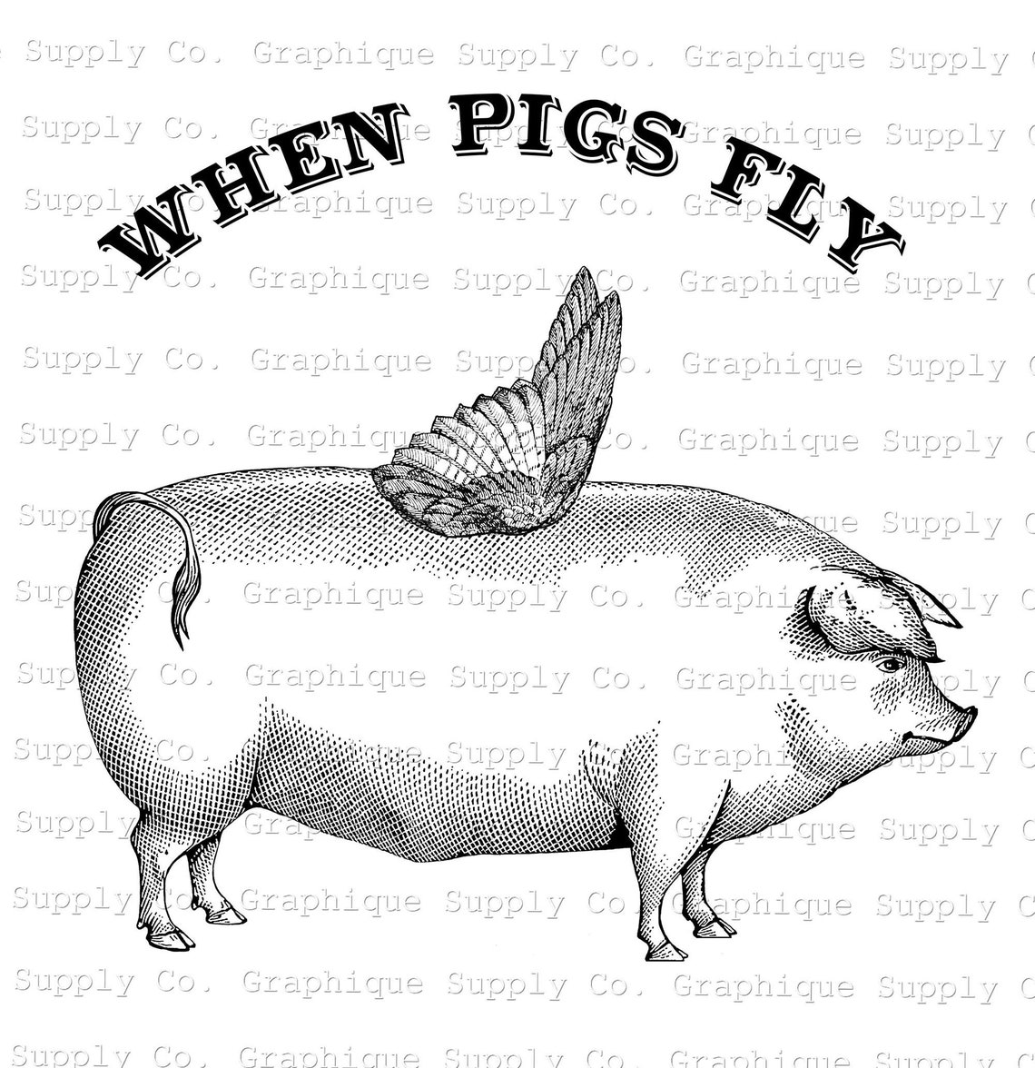 When Pigs Fly Instant Download Digital Printable Vintage - Etsy