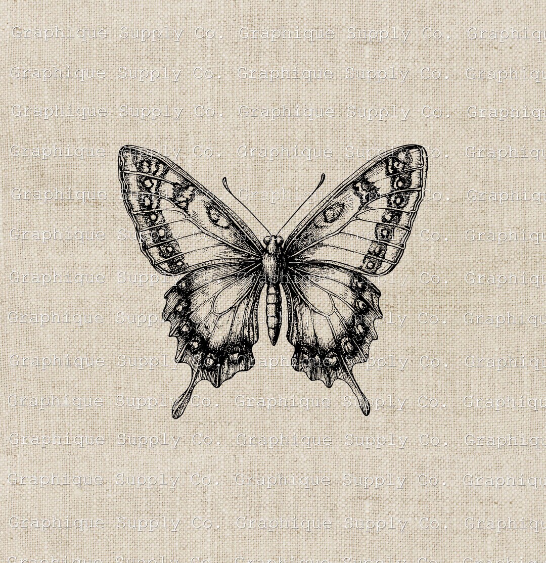 Vintage Butterfly SVG - Egraving Style Clipart, Hand Drawn Insect ...