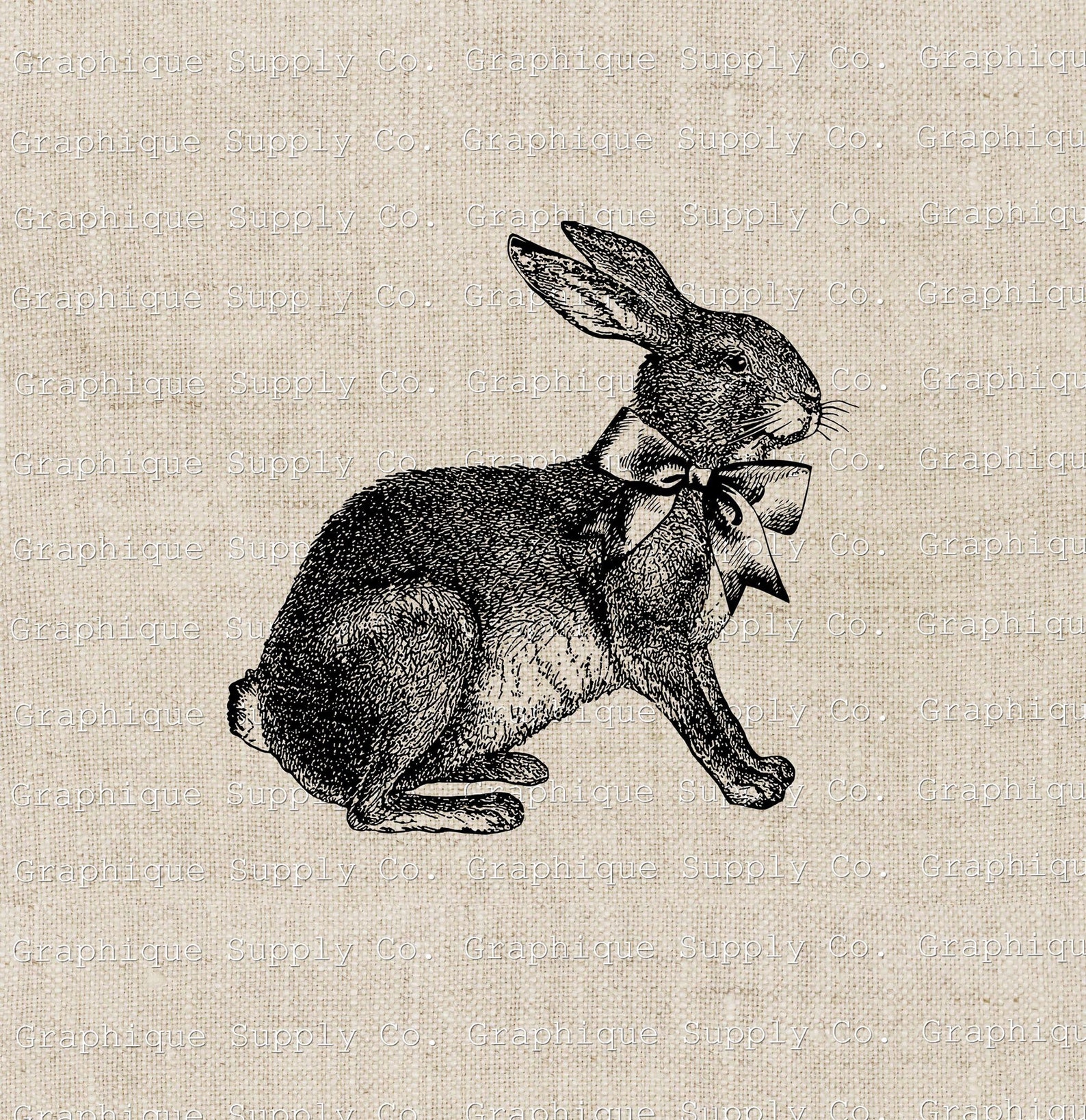 Rabbit Clip Art Cottontail Bunny Vintage Illustration - Etsy
