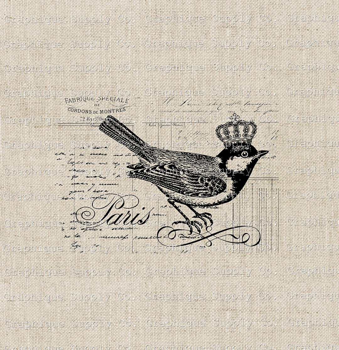 Vintage Bird Illustration: French Country Clip Art (digital Download ...