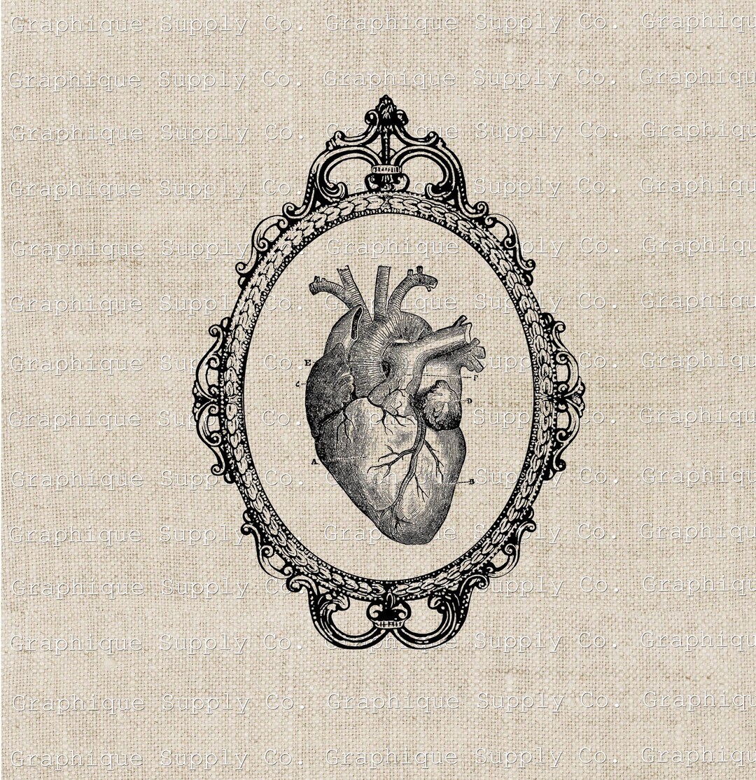 Vintage Heart Frame Digital Clip Art Instant Download Printable 300dpi ...